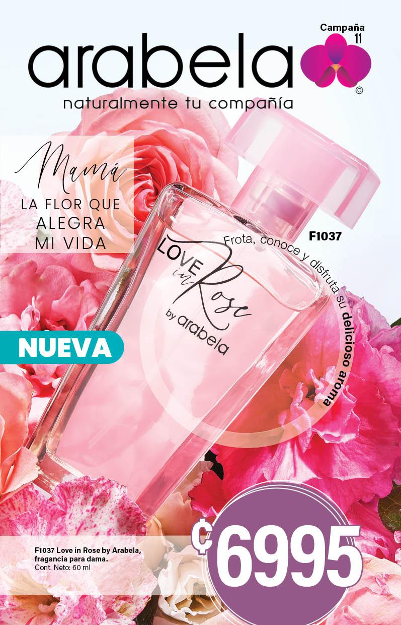 En los folletos de Arabela encuentra productos que te encantarán y hará ...